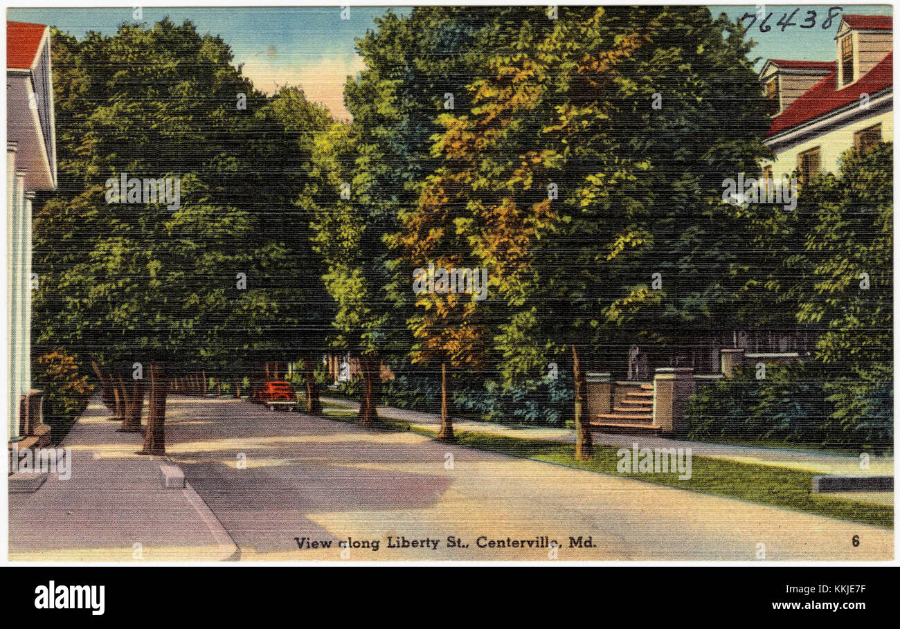 This photograph shows a historical view along Liberty Street in ...