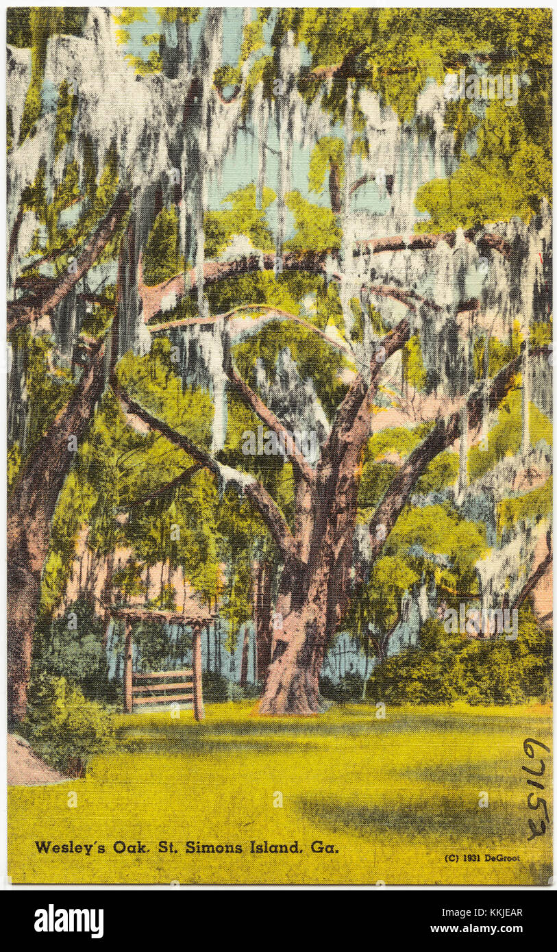 Wesley's Oak, located on St. Simons Island in Georgia, is a historical ...
