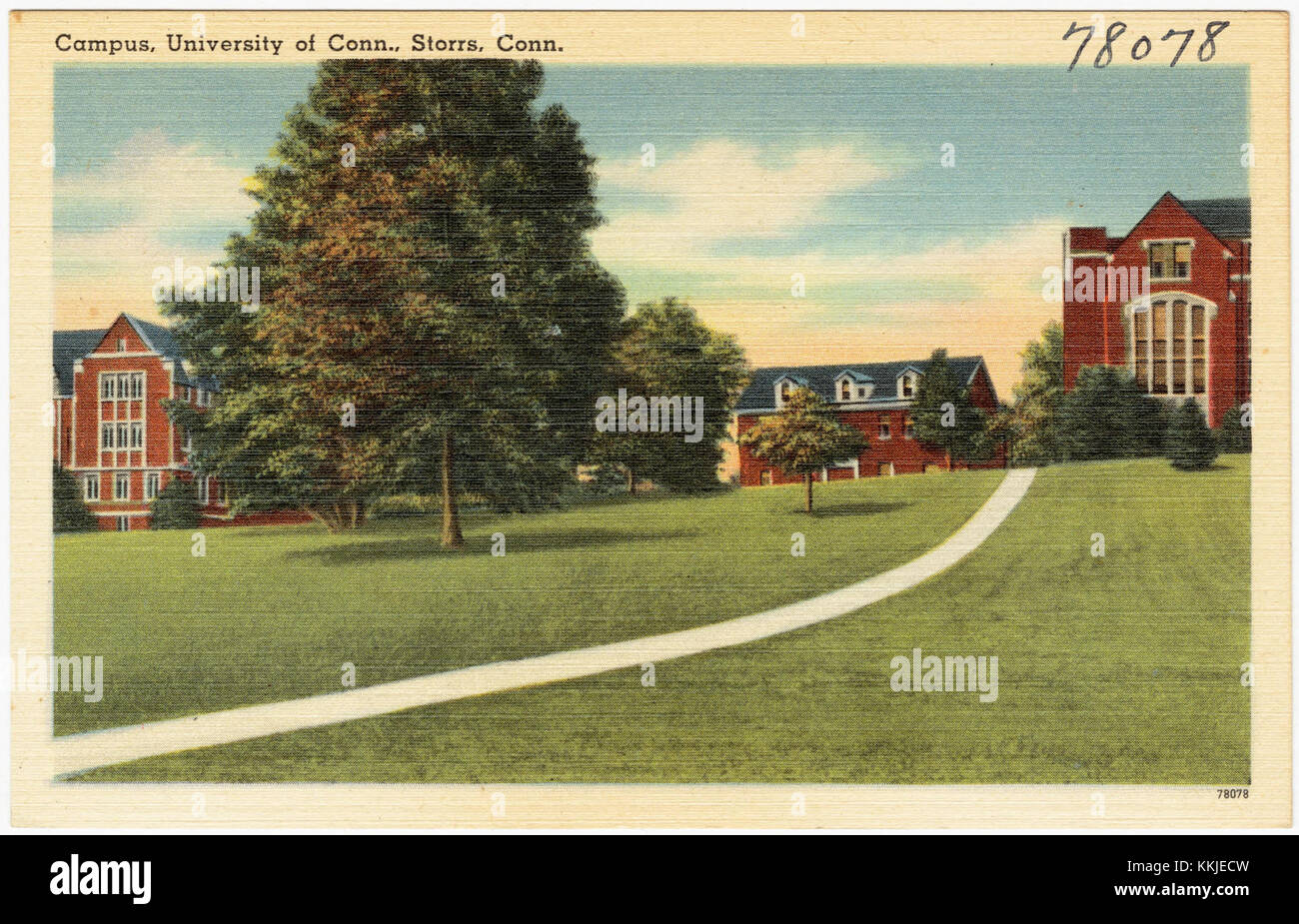 Campus, University of Conn., Storrs, Conn (78078 Stock Photo - Alamy