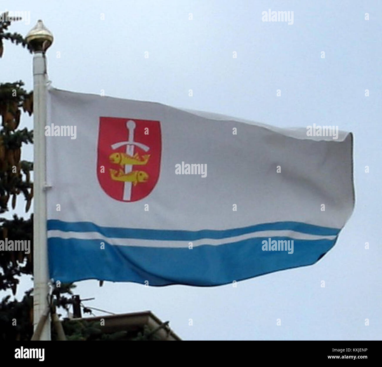 The Flaga Gdyni is the flag of Gdynia, Poland, representing the city’s ...