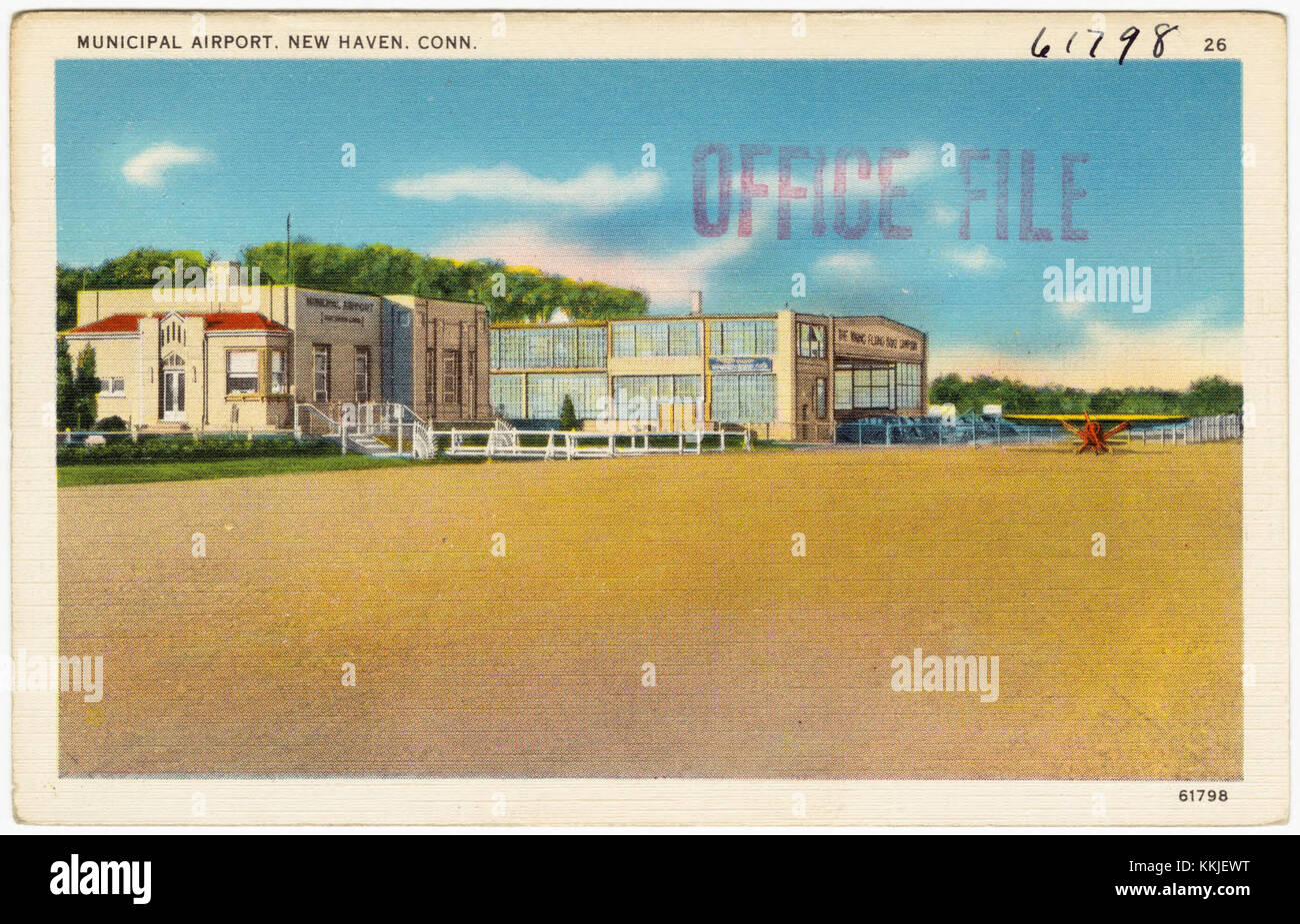 Detailed botanical illustration of Brazilian joyweed (Alternanthera ...