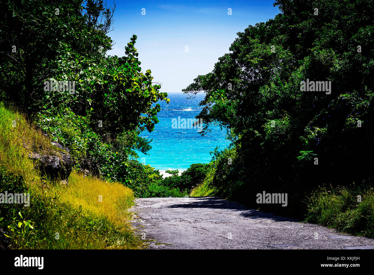 Foul Bay Beach; Foul Bay; ST. Philip; Barbados Stock Photo - Alamy