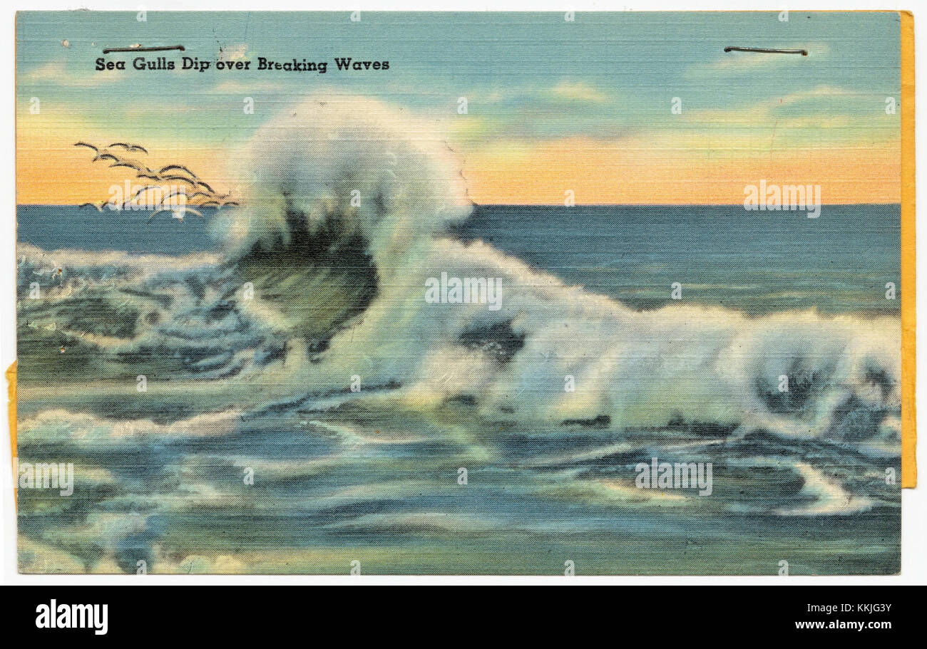 This photograph captures seagulls soaring and diving over the breaking ...