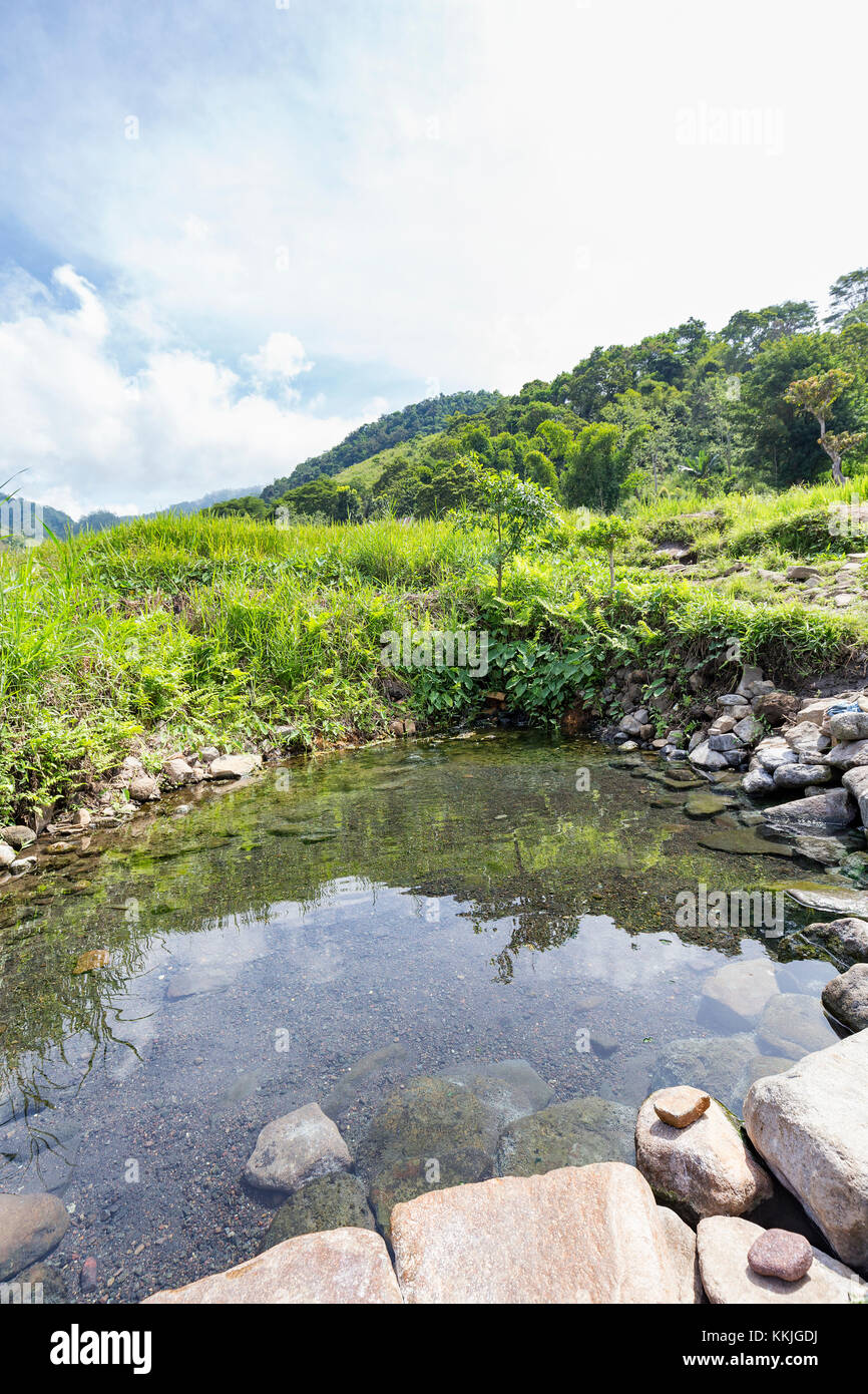 Portrait view of the small Kolo Rongo hot spring surrounded by rice ...