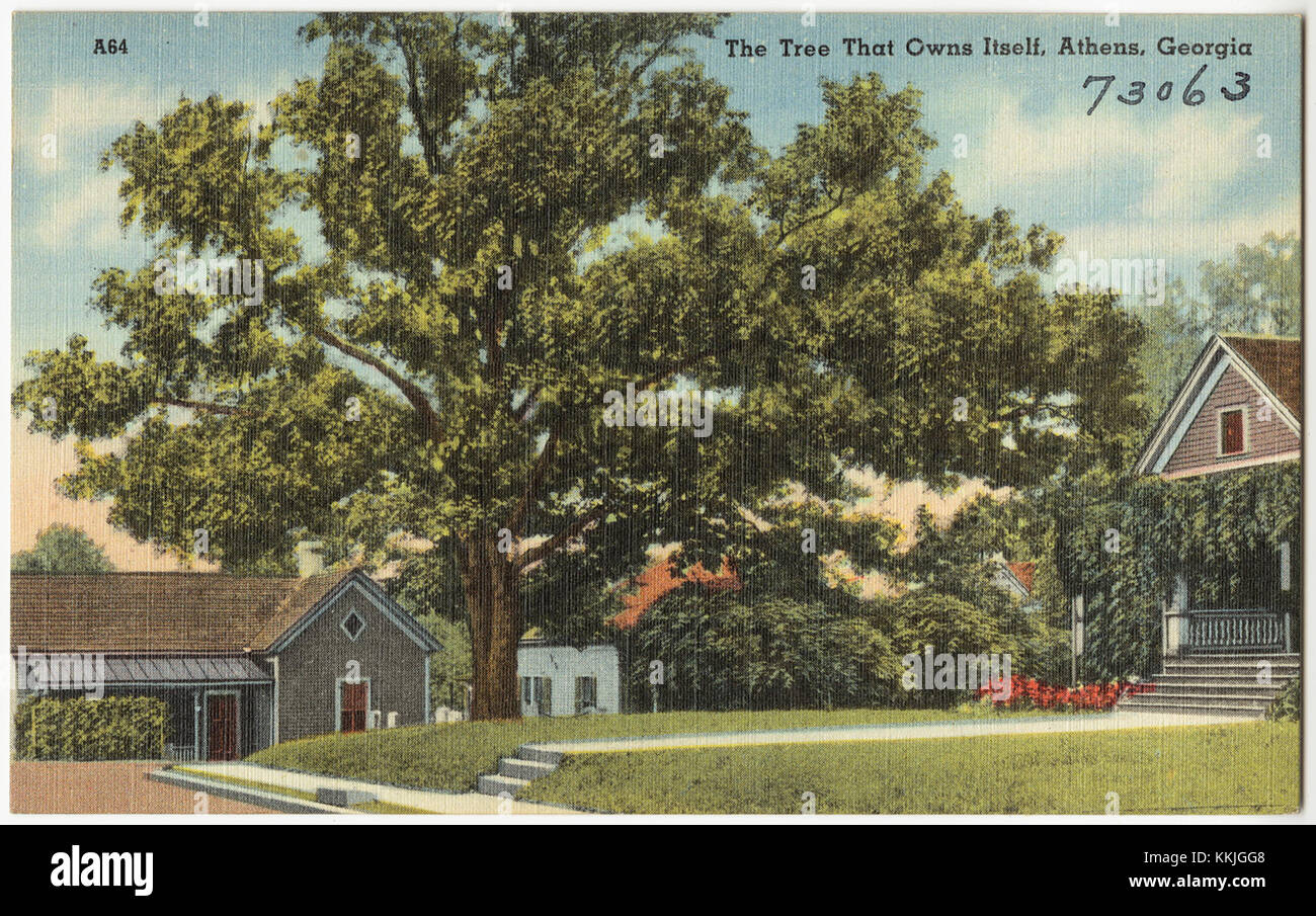 The tree that owns itself is a famous white oak tree located in Athens ...