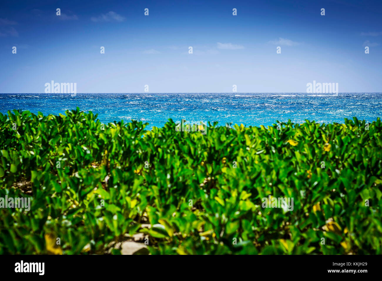 Foul Bay Beach; Foul Bay; ST. Philip; Barbados Stock Photo - Alamy