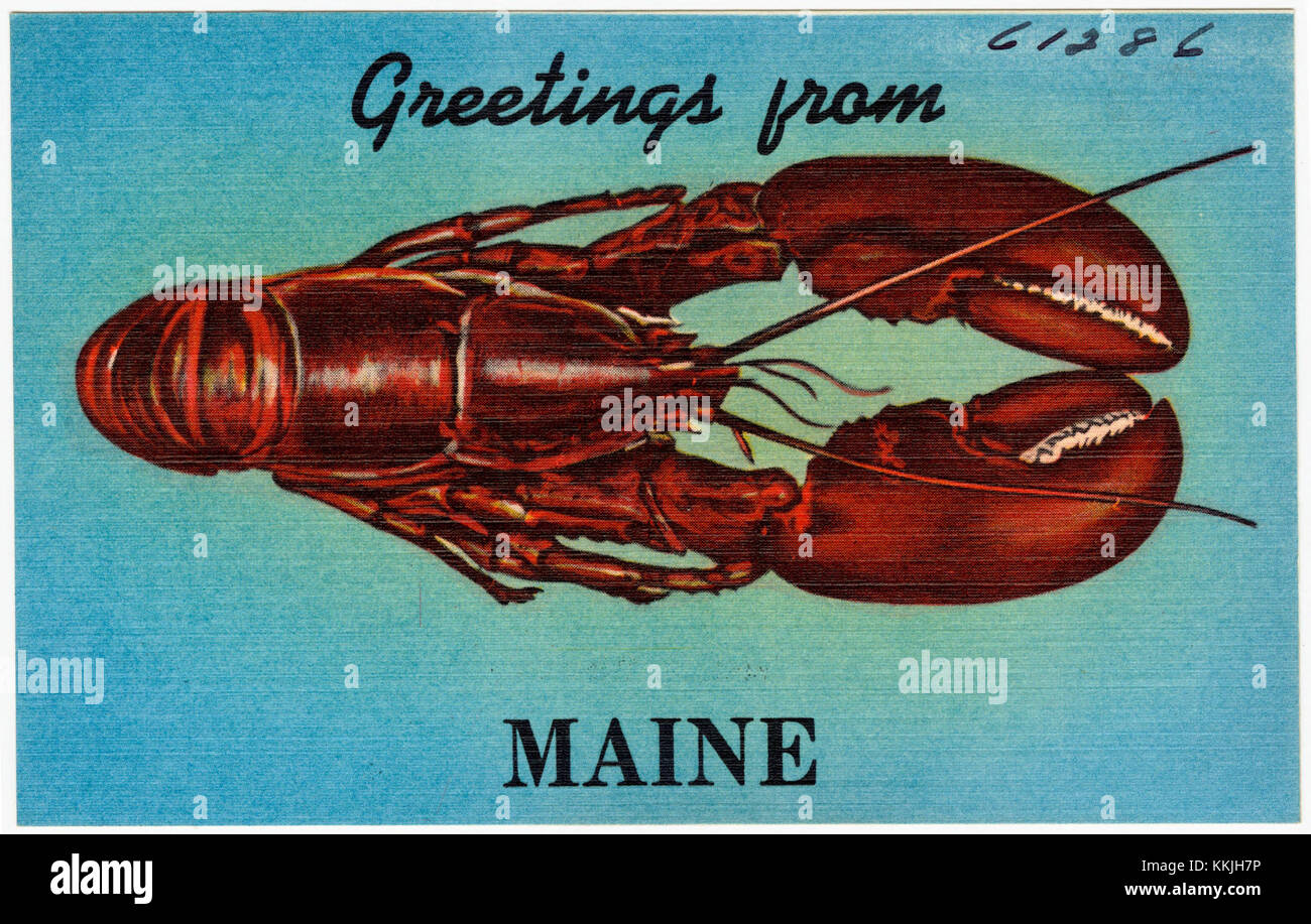 This postcard, titled 'Greetings from Maine,' depicts scenic views of ...