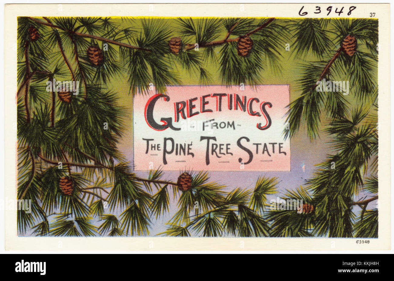 This vintage postcard titled 'Greetings from the Pine Tree State ...
