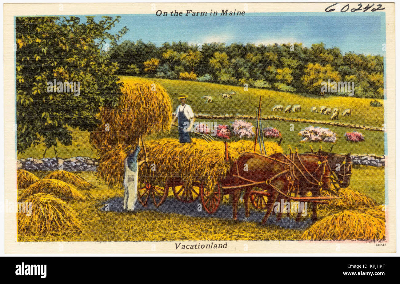 This image showcases a typical farm in Maine, known as Vacationland for ...