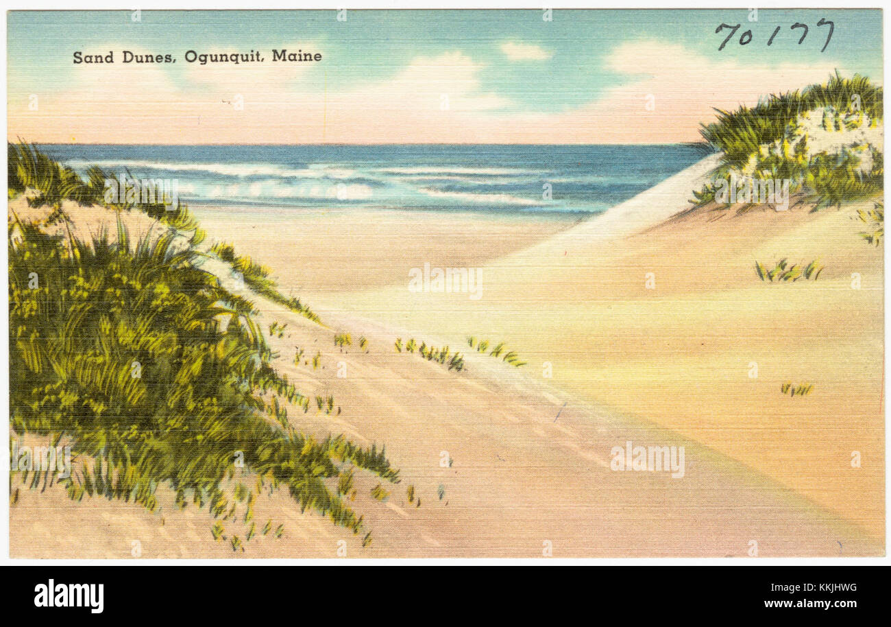 The sand dunes at Ogunquit, Maine, are a natural landscape feature ...