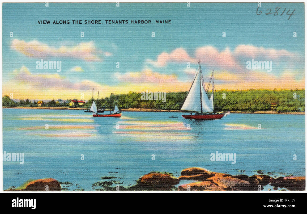 This photograph captures a scenic view along the shore of Tenants ...