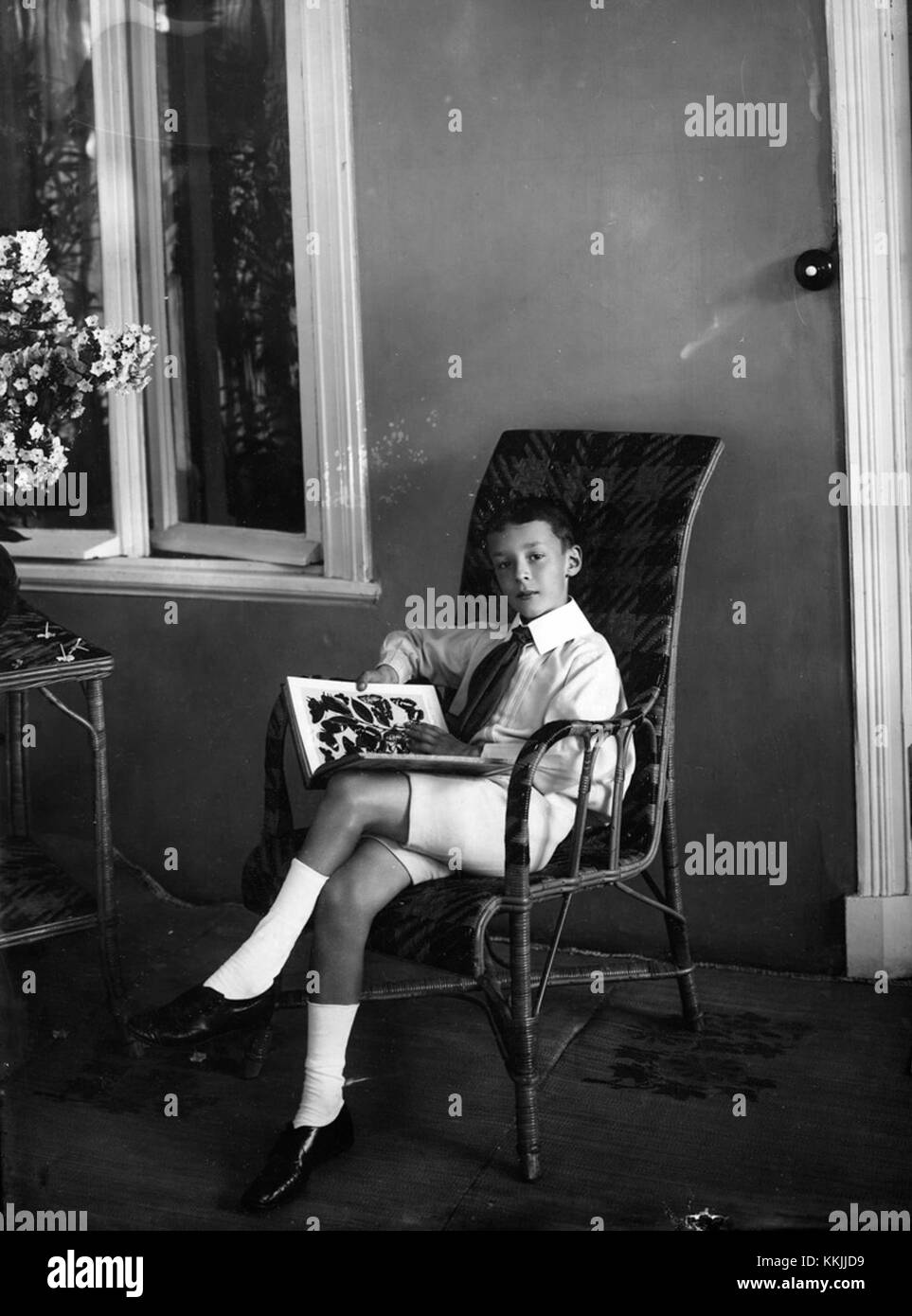 Volodya hi-res stock photography and images - Alamy