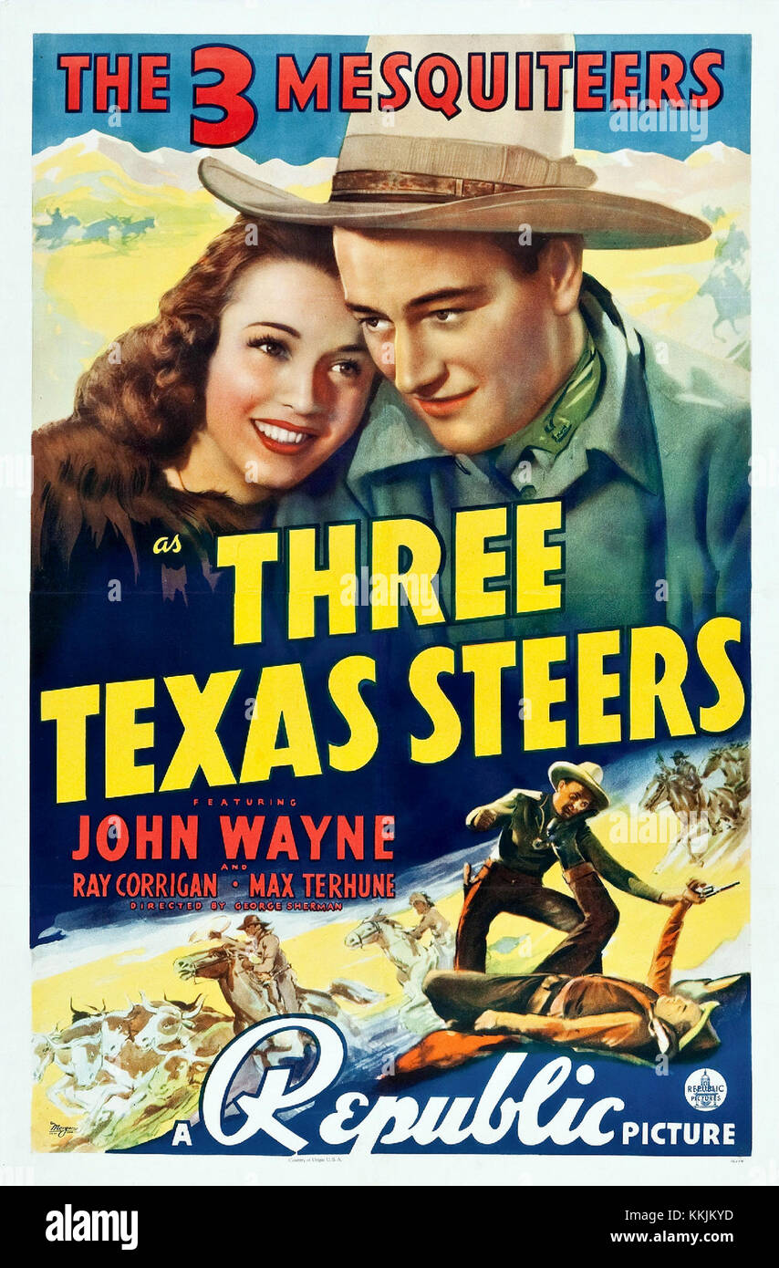 Three steers hi-res stock photography and images - Alamy