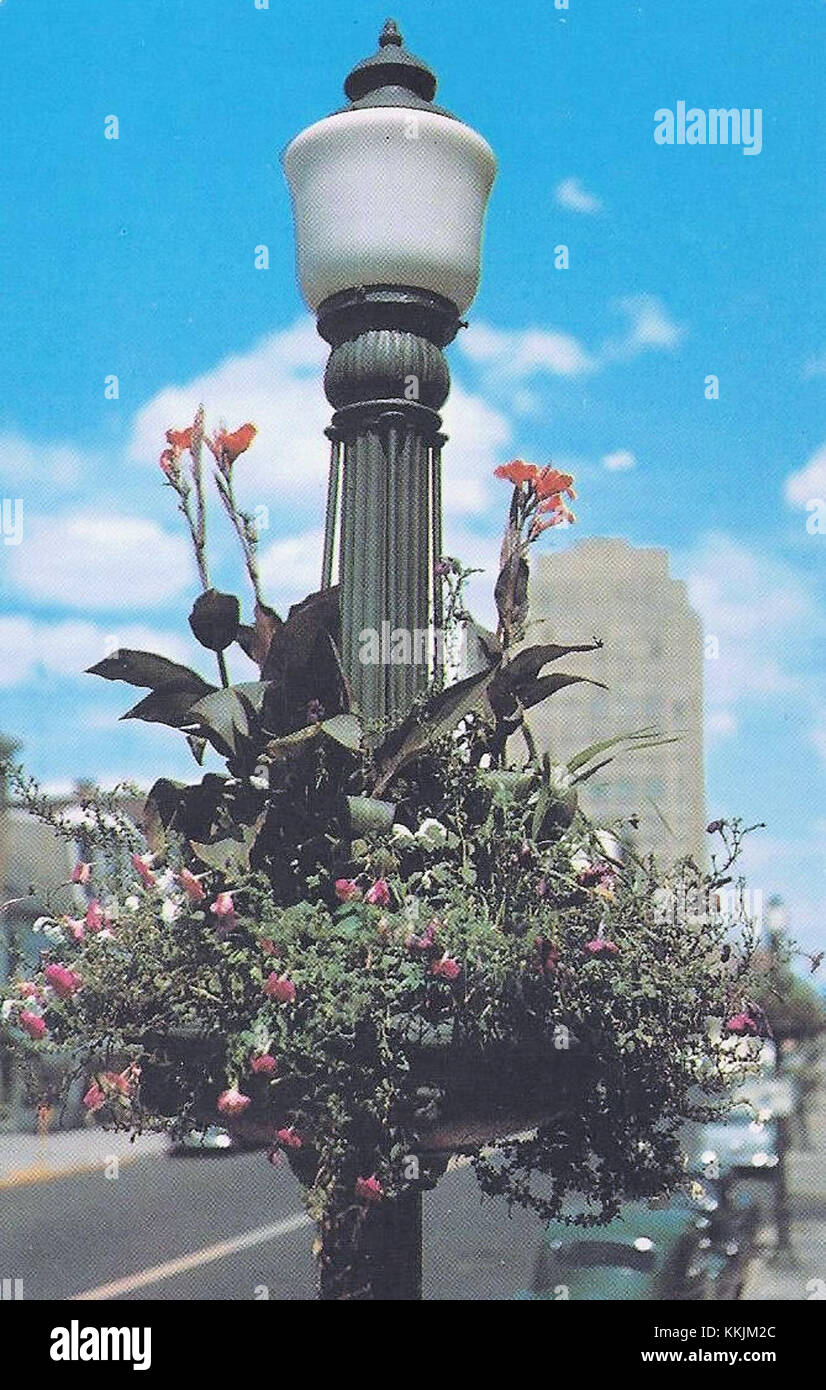 In 1963, a street lamp in Hamilton, Canada, became a unique landmark ...