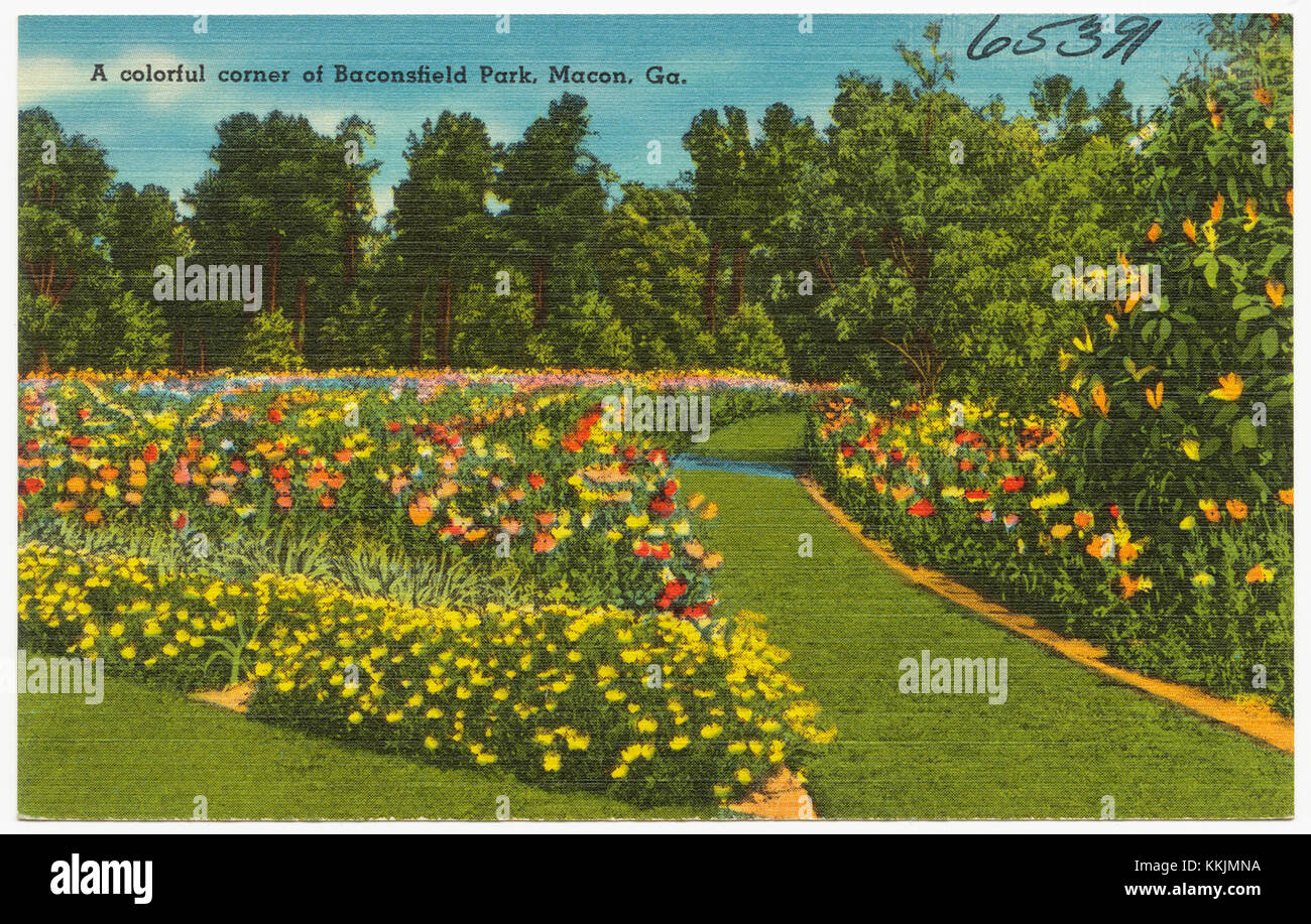 A vibrant corner of Baconsfield Park in Macon, Georgia, featuring a ...