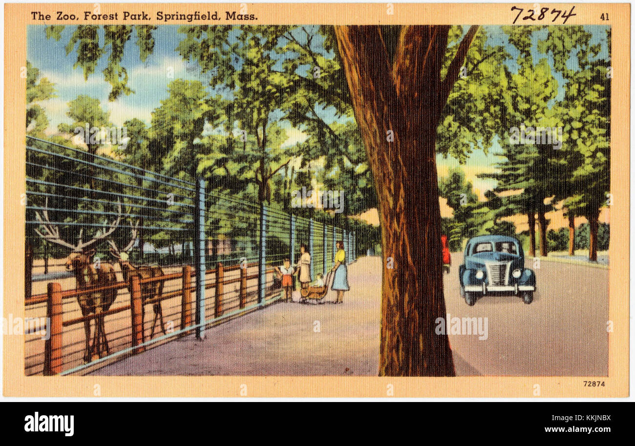 A vintage photograph from Forest Park Zoo in Springfield, Massachusetts ...