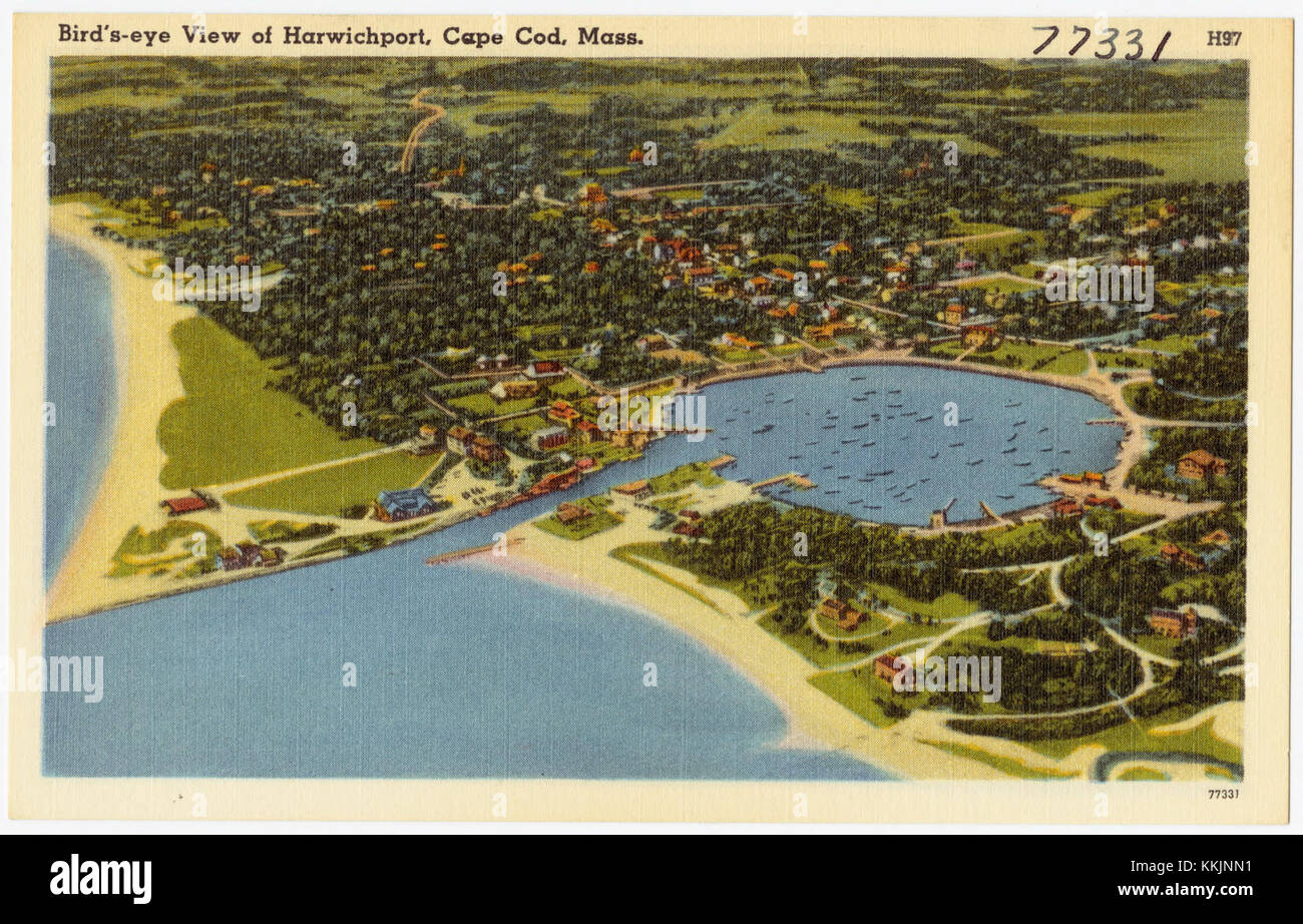 Cape Cod Birds Eye View