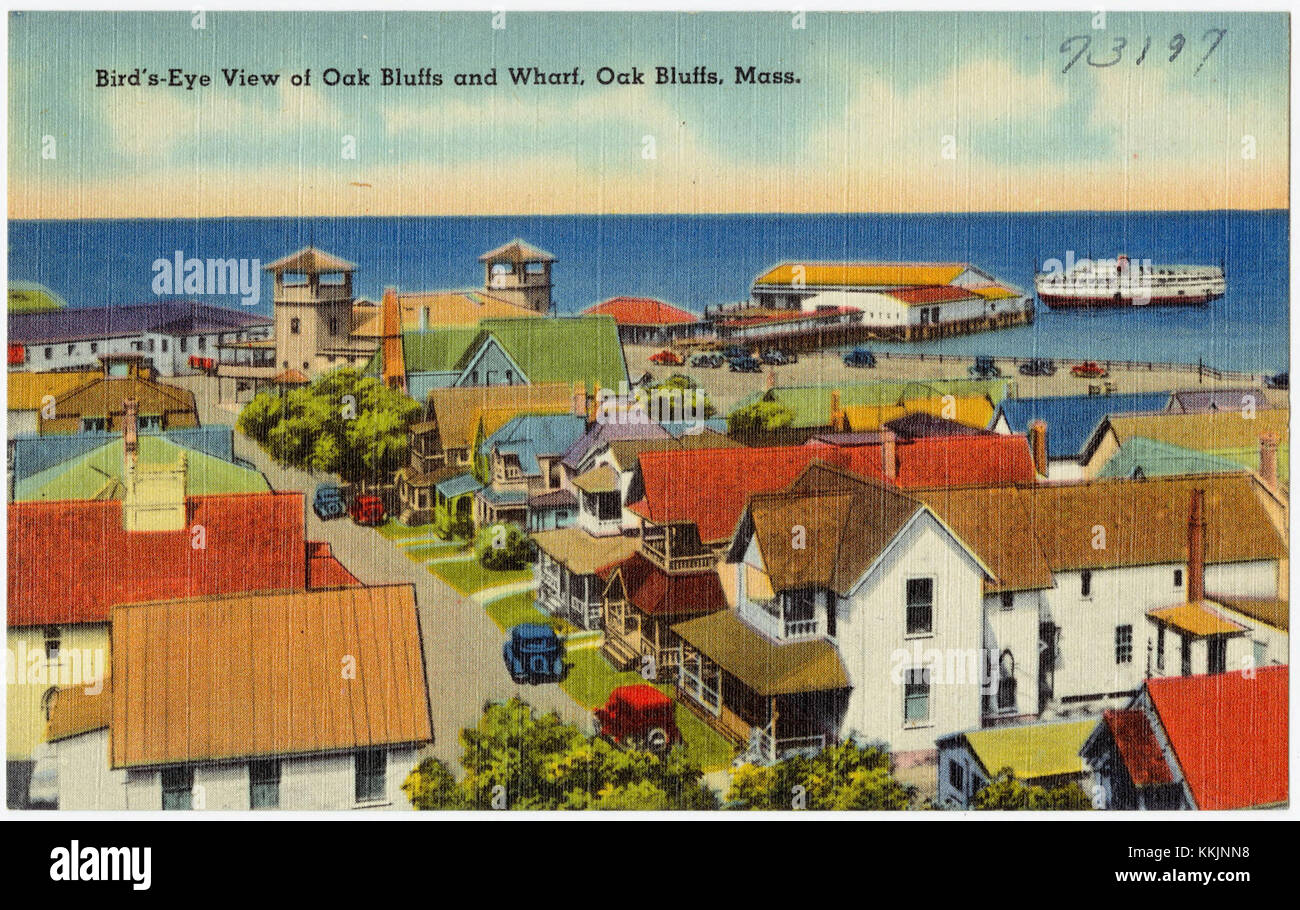 Aerial view shows vineyard hi-res stock photography and images - Alamy