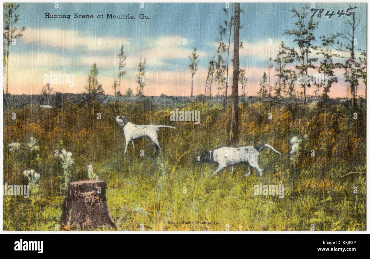 This image depicts a hunting scene in Moultrie, Georgia, capturing the ...