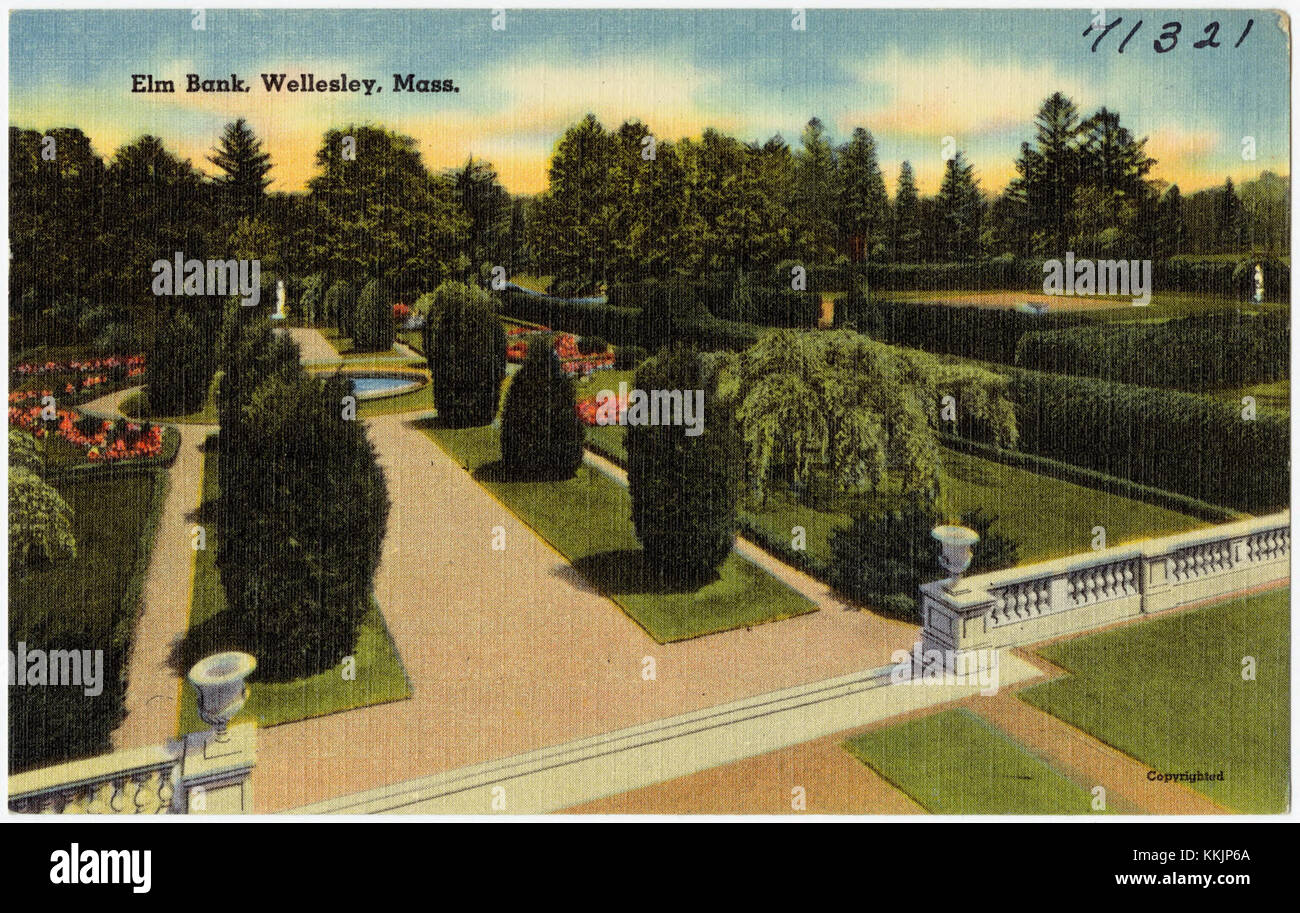 Elm bank hi-res stock photography and images - Alamy