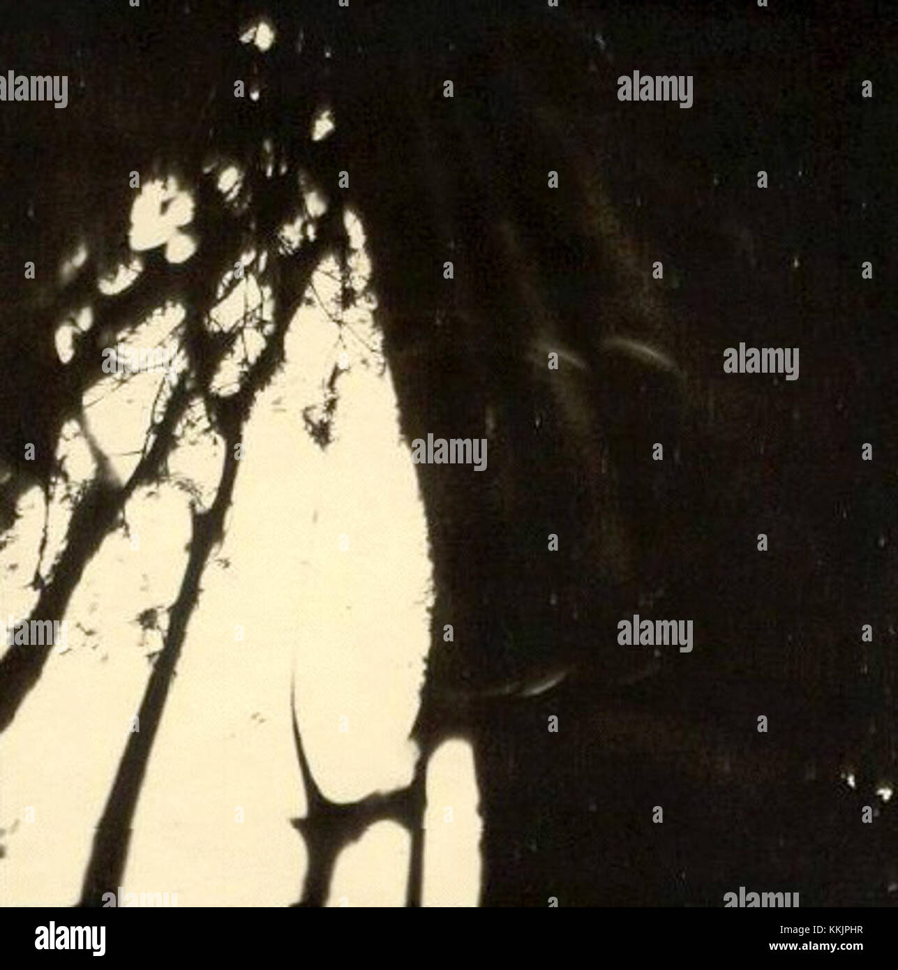 The photograph by Alberto Errera, titled 'Sonderkommando,' captures the ...