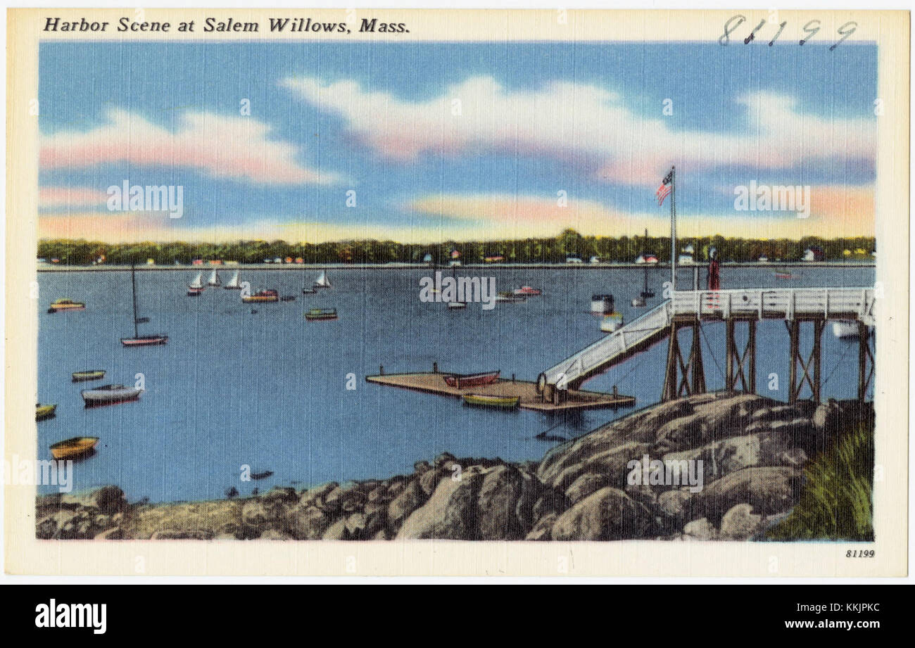 Salem willows hi-res stock photography and images - Alamy
