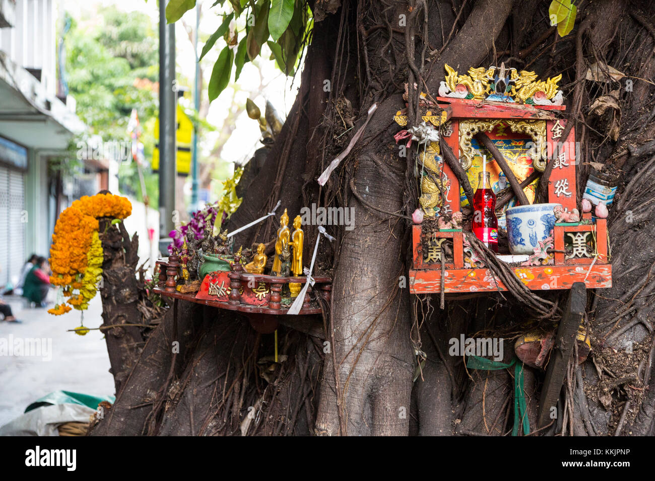Buddhist tree hi-res stock photography and images - Alamy