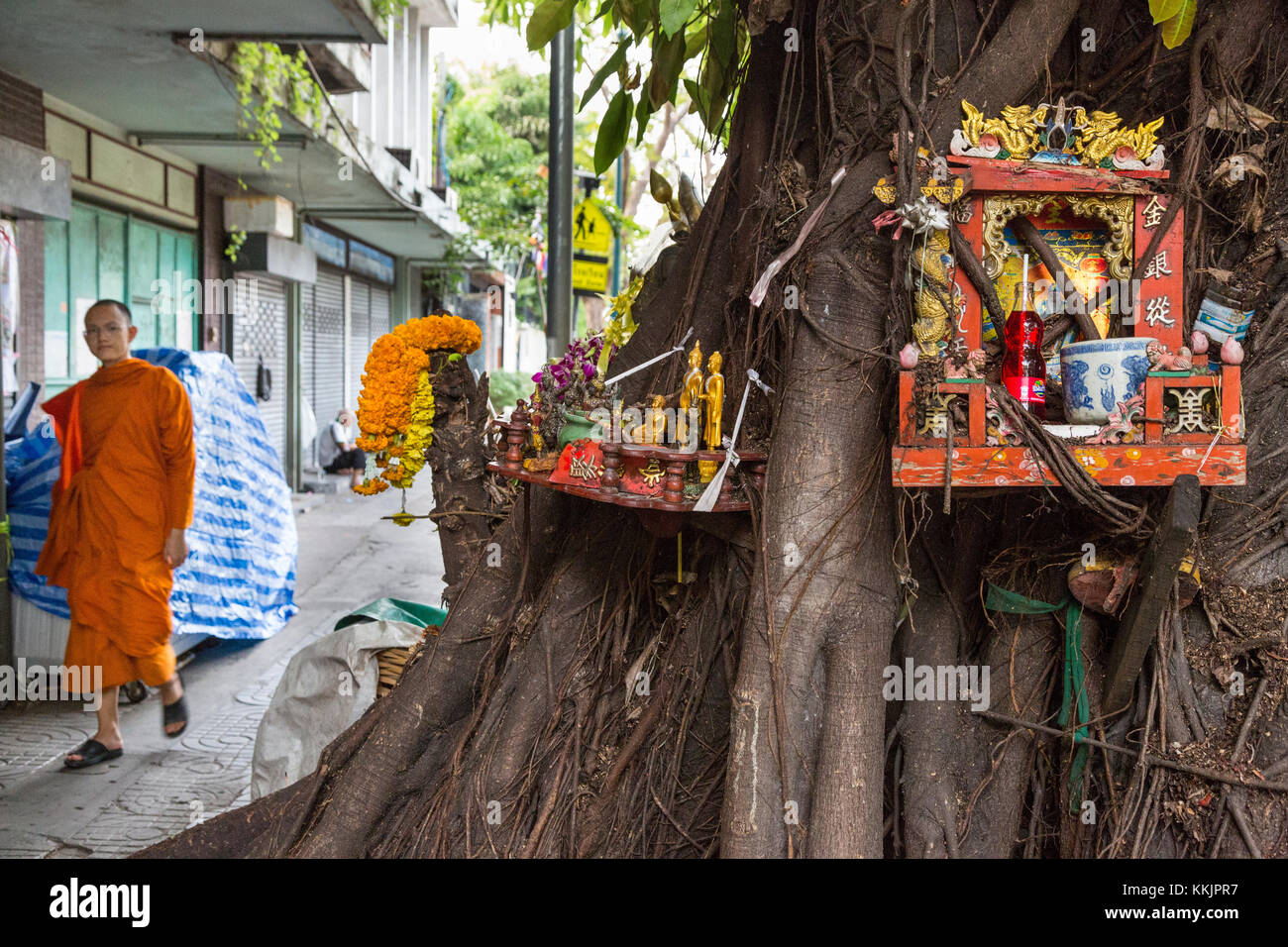 Buddhist tree hi-res stock photography and images - Alamy
