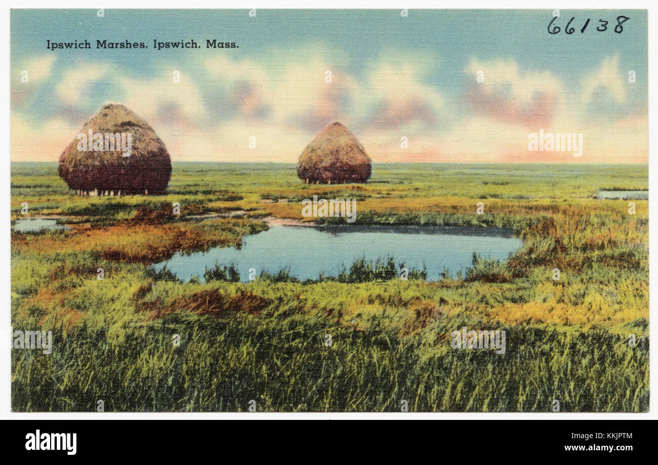 Ipswich Marshes in Massachusetts is a protected wetland area known for ...