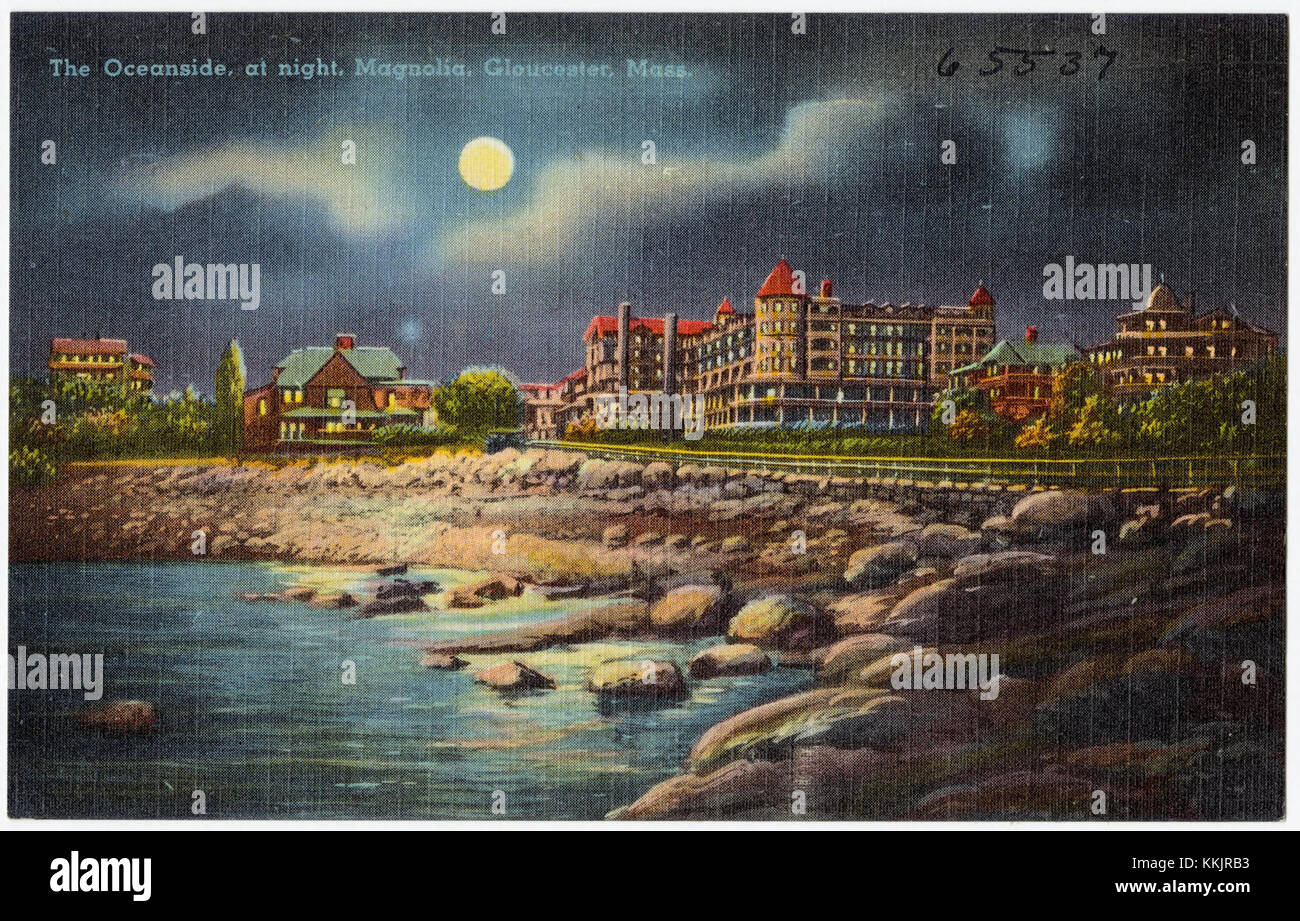 This photograph captures the serene view of the oceanside at night in ...