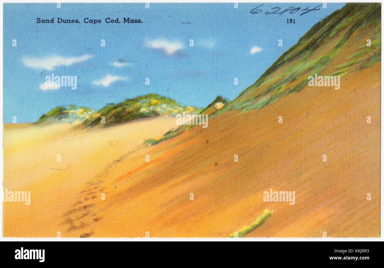 The sand dunes of Cape Cod, Massachusetts, are iconic natural ...