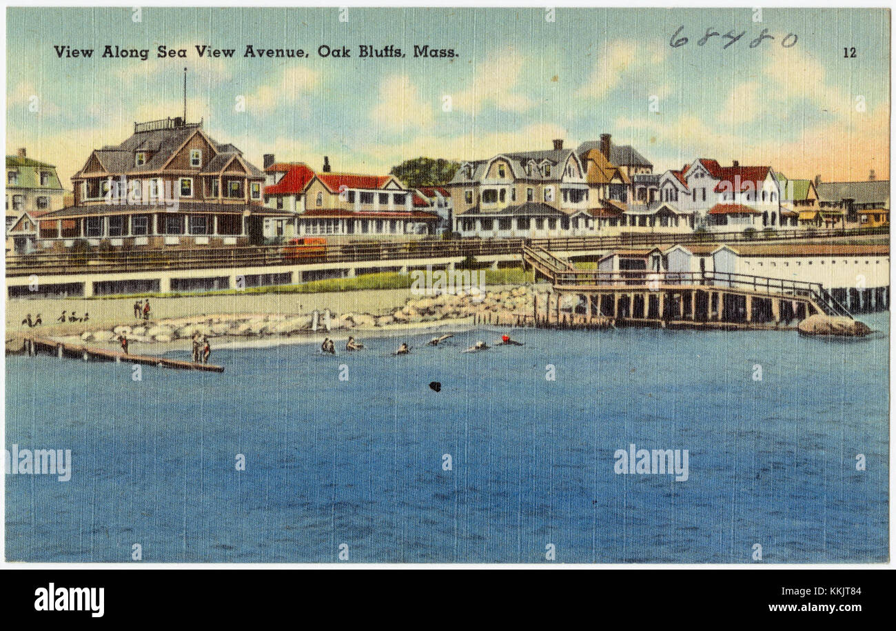 A scenic view of Sea View Avenue in Oak Bluffs, Massachusetts ...