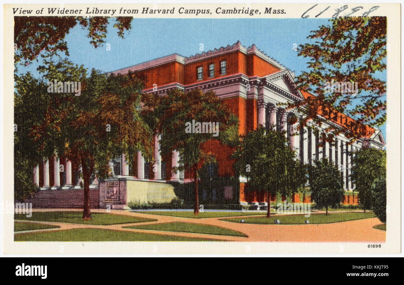 View of Widener Library from Harvard Campus, Cambridge, Mass (61898 ...