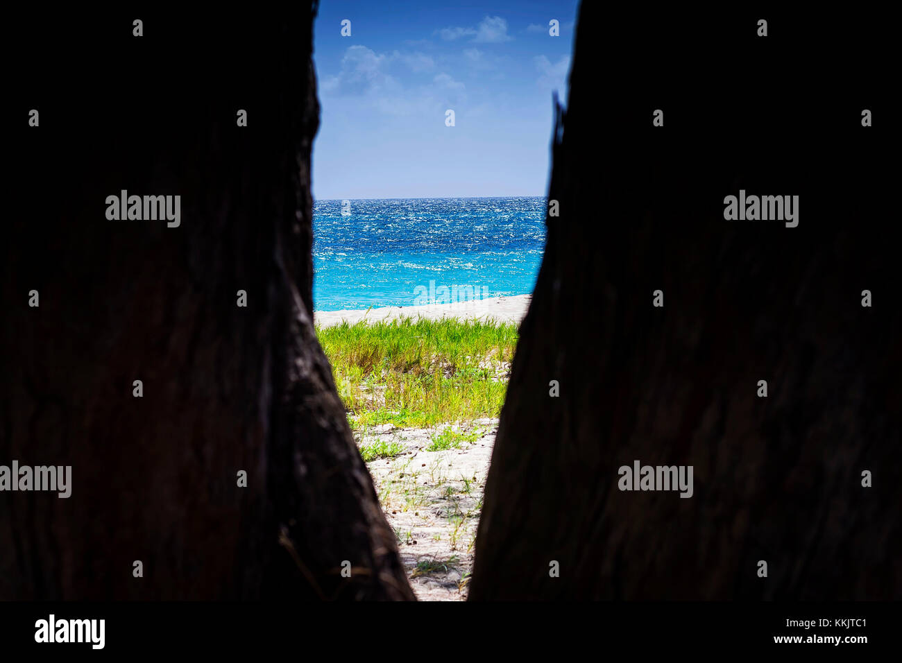 Foul Bay Beach; Foul Bay; ST. Philip; Barbados Stock Photo - Alamy
