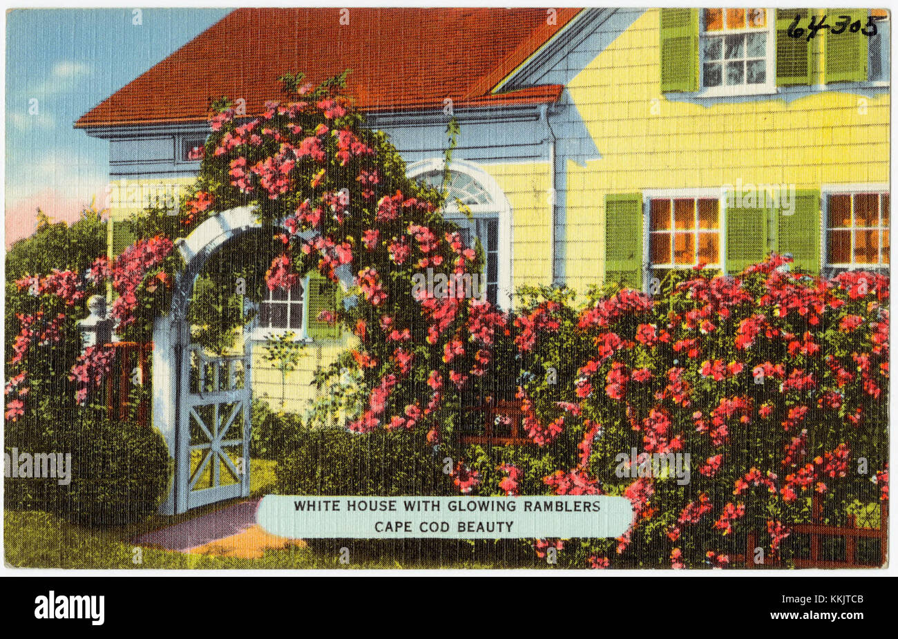 A white house with glowing ramblers captures the essence of Cape Cod ...