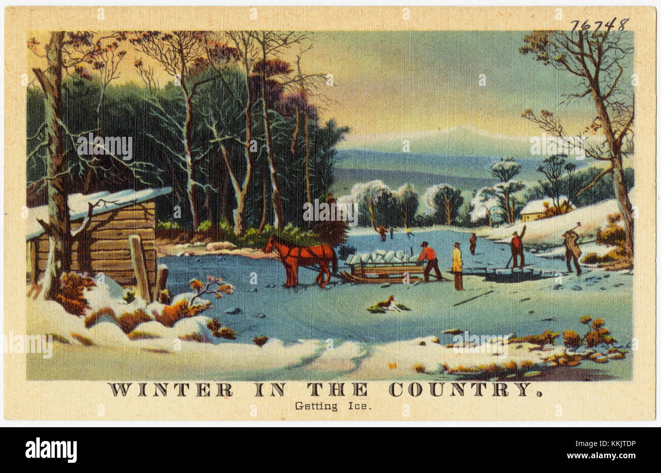 A rural scene depicting the process of ice harvesting during winter ...
