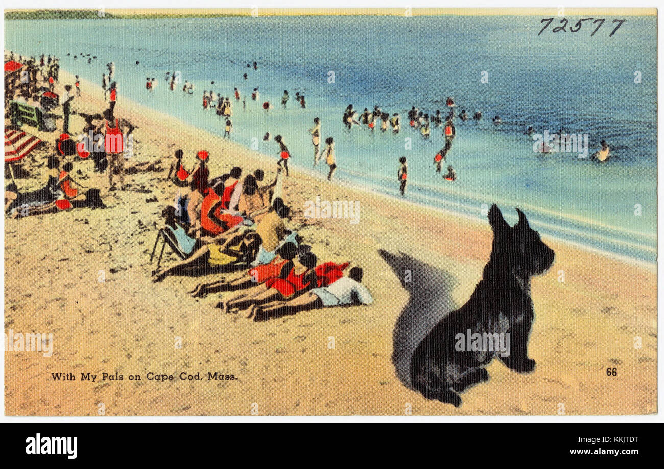 This image captures a moment with friends on Cape Cod, Massachusetts ...