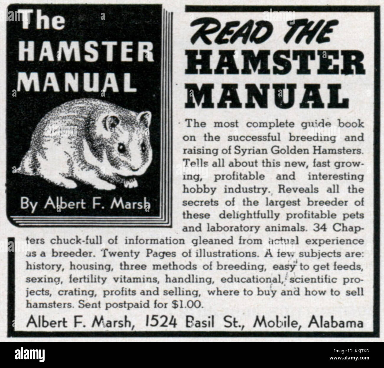 An advertisement promoting the reading of a hamster care manual ...