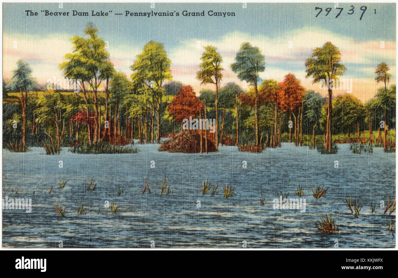 The Beaver Dam Lake -- Pennsylvania's Grand Canyon (79739 Stock Photo ...