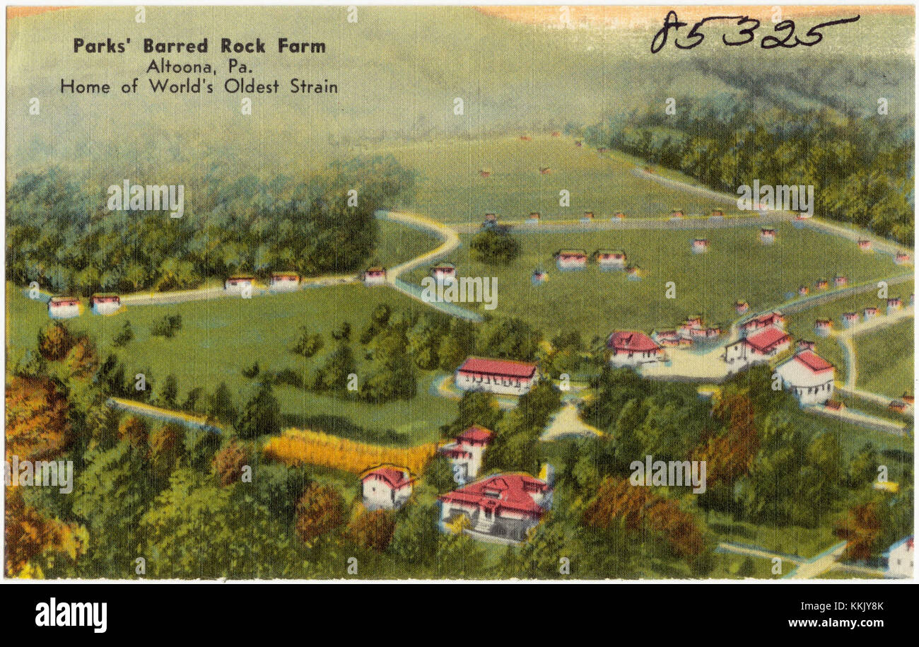 Parks' Barred Rock Farm, located in Altoona, Pennsylvania, is renowned ...