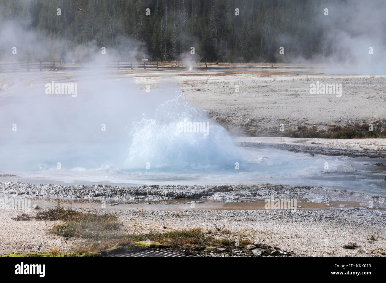 Spouter Geyser Thermal Feature erupting in Black Sand Geyser Basin ...