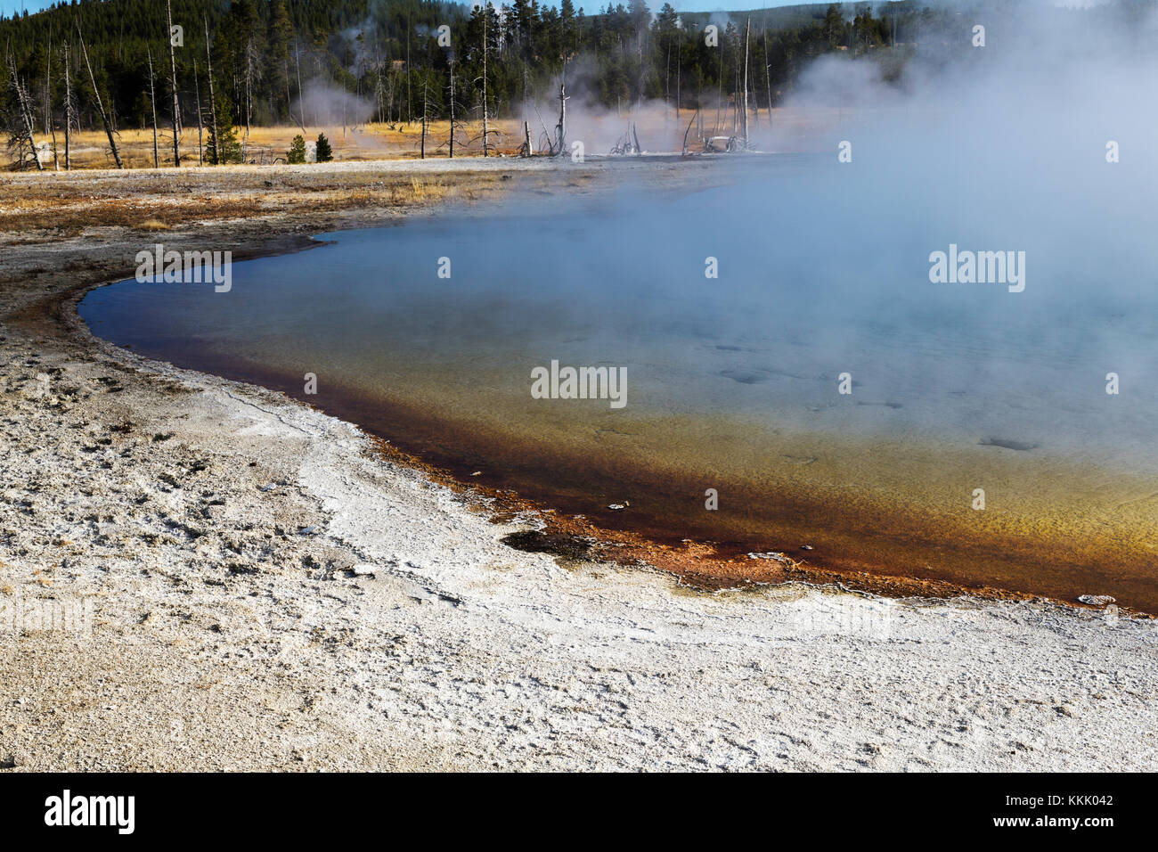 Shallow thermal pool yellowstone hi-res stock photography and images ...