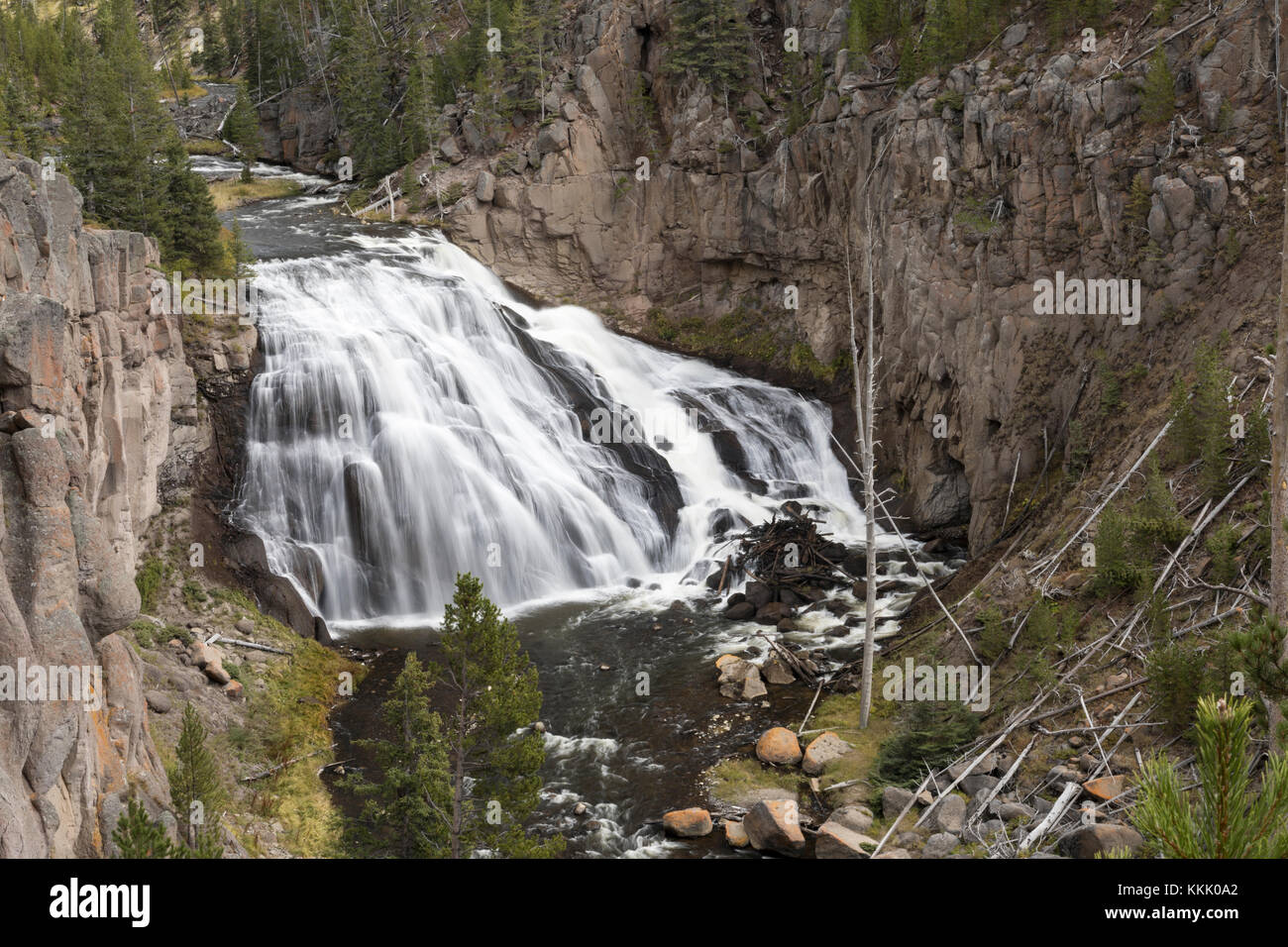 Gibbon river hi-res stock photography and images - Alamy