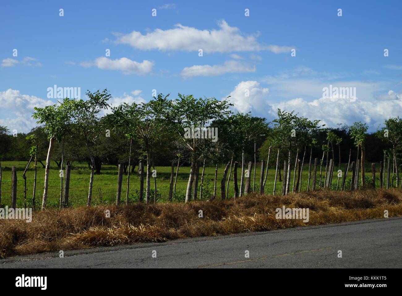 Rural scene in panama hi-res stock photography and images - Alamy