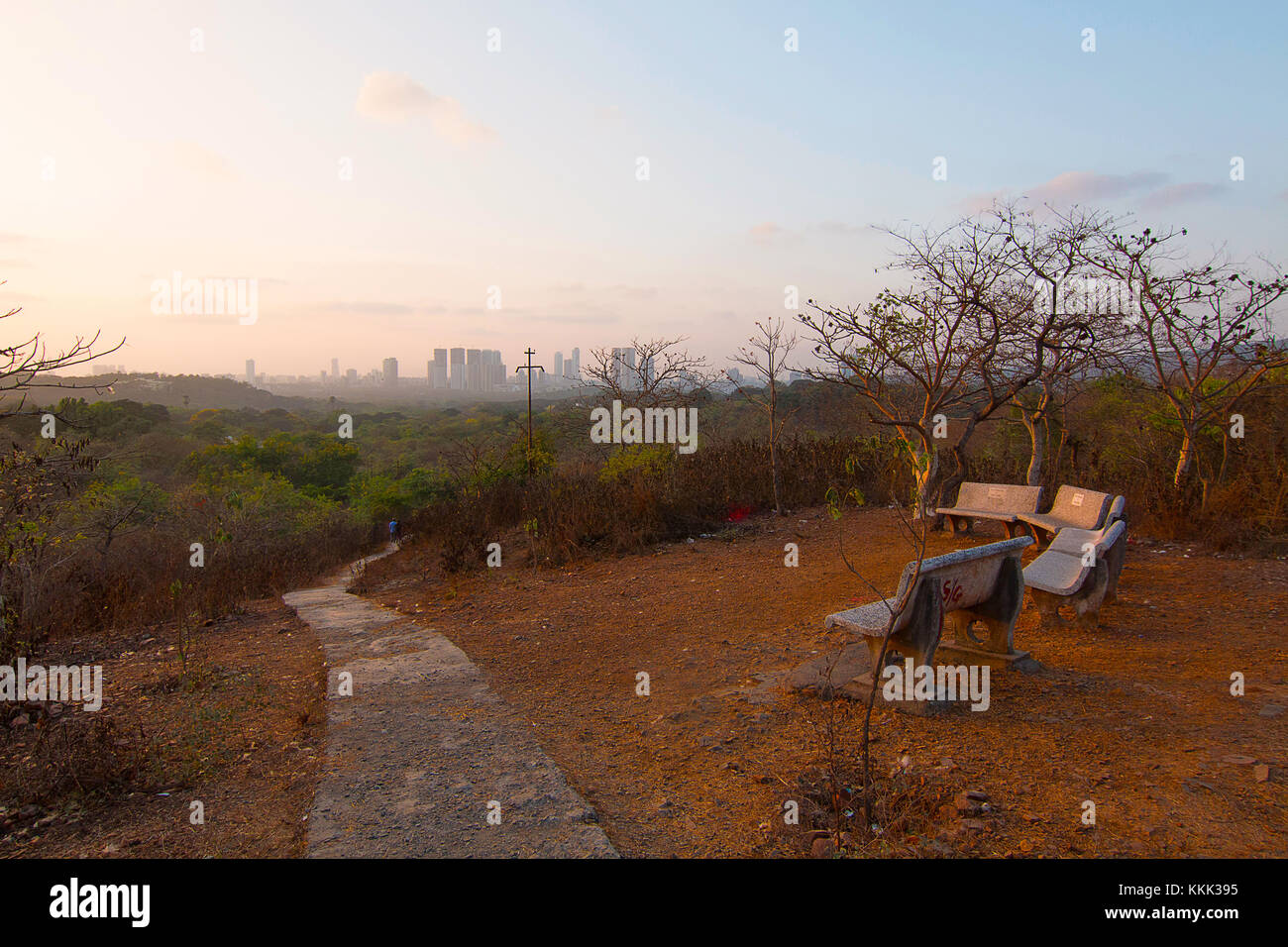 View of Aarey Milk Colony showing the forest and the ever-growing city ...
