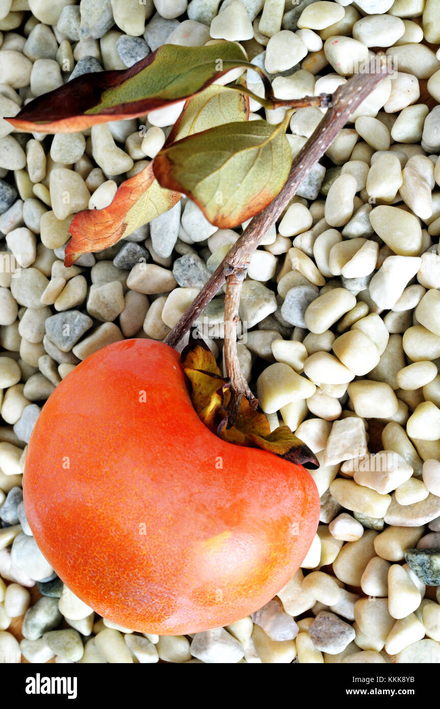 top view of a ripe organic persimmon, on pebbles, vertical background ...