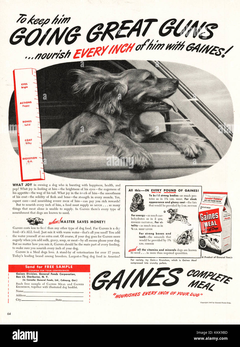 Dog Food Advert High Resolution Stock Photography and Images - Alamy