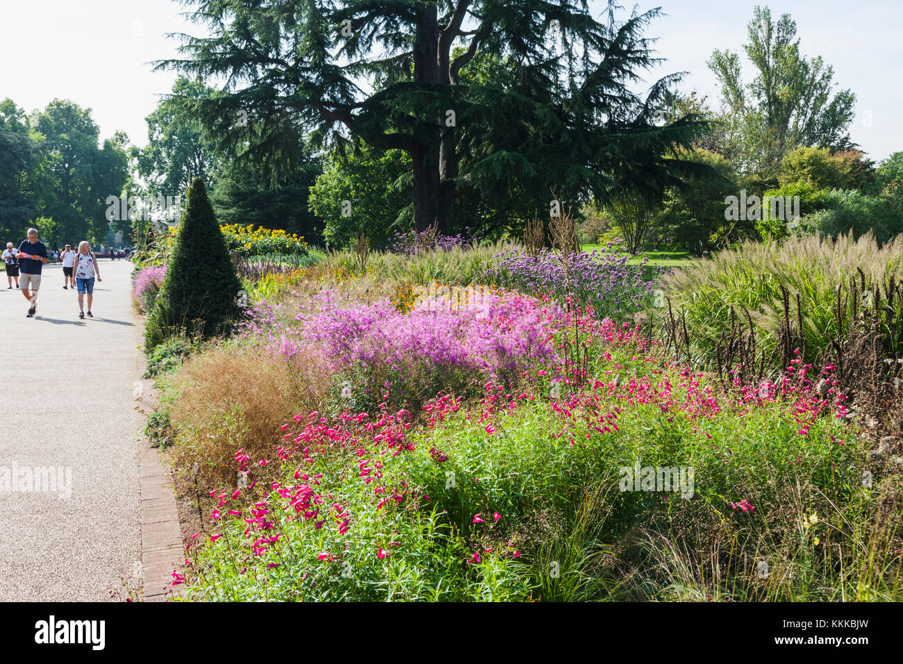 England, London, Richmond, Kew Gardens, The Great Broad Walk Flower ...
