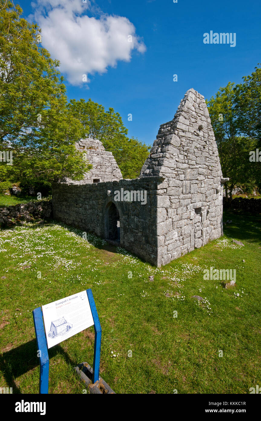 Remains of Temple Cronan (XII century) in the Burren National Park ...
