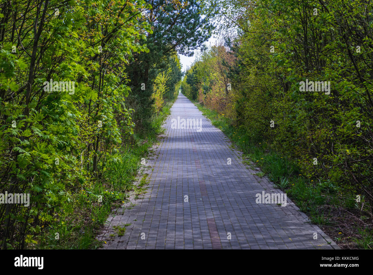 Bicycle path along Hel Peninsula sperating the Bay of Puck from Baltic ...
